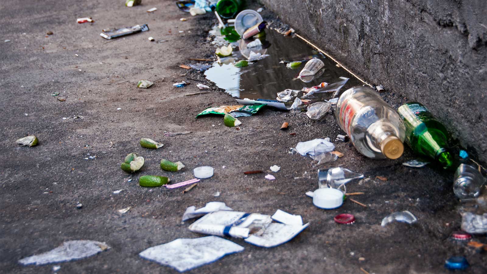 Litter Picking | Central Grounds Maintenance